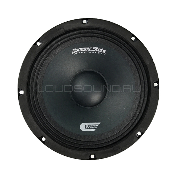 Dynamic State Custom Series CM-20.1v2 4Ом | Среднечастотный эстрадный ...